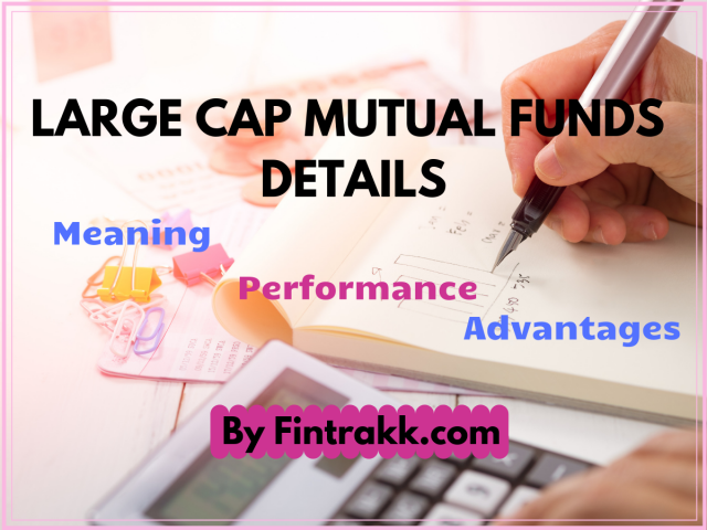 What are Large Cap Mutual Funds: Meaning & Performance | Fintrakk